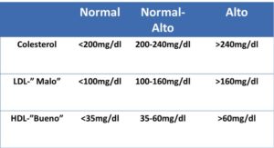Colesterol LDL, HDL, triglicéridos, ¿qué es cada cosa (colesterol)