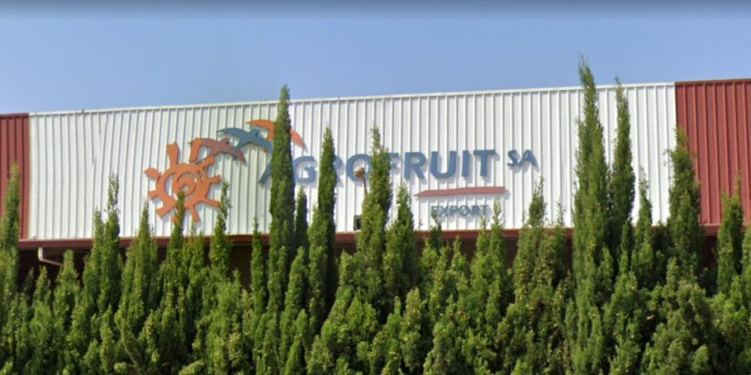 Agrofruit: así quebró la líder de la exportación de cítricos tras las artimañas del exdirector ...