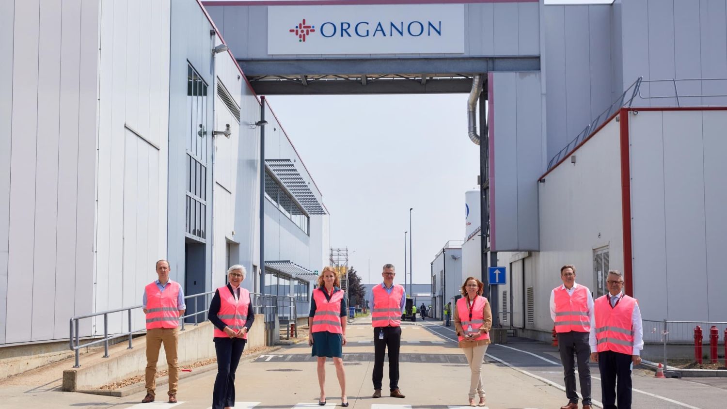 Organon y Lilly acuerdan comercializar dos medicamentos contra la migraña