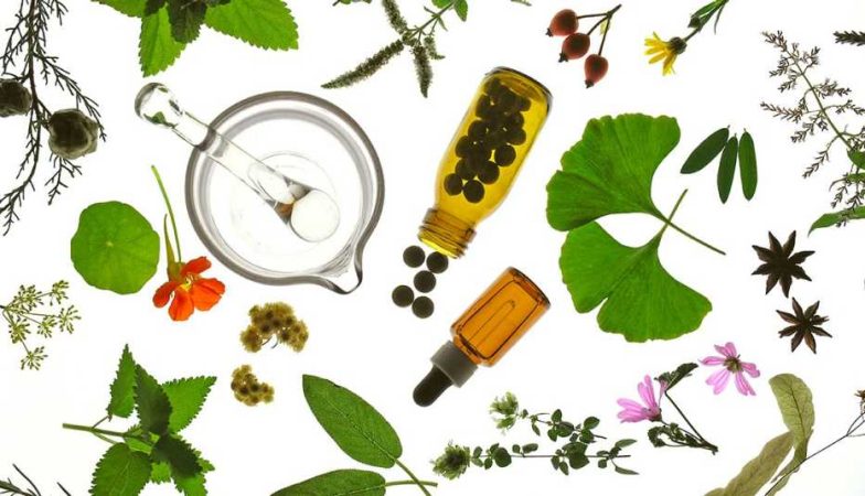 Esta es la morfina natural en infusión que la industria farmacéutica no ...